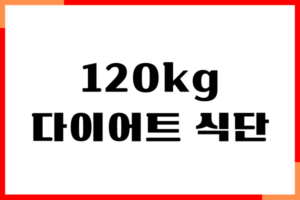 120kg 다이어트 식단 성공하는 방법 - 크통
